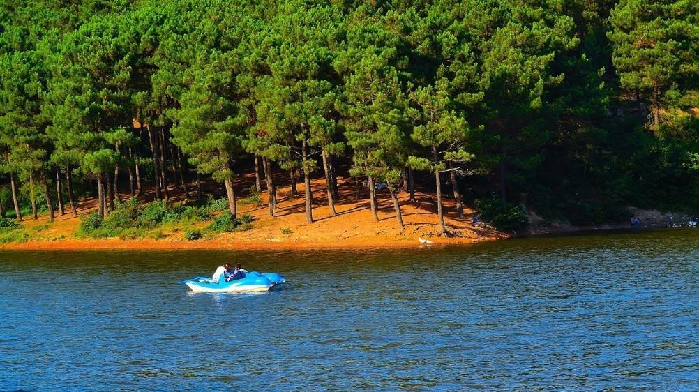 Aydos Ormanı Hakkında Merak Edilen Her Şey