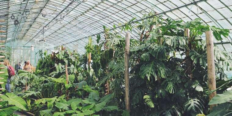 İzmir Botanik Bahçeleri