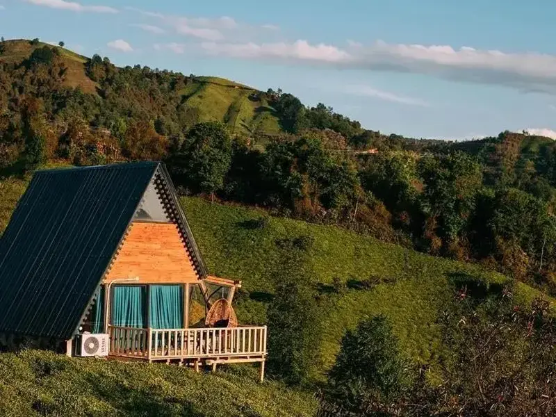 Heidi Bungalov - Rize Pazar Pazar