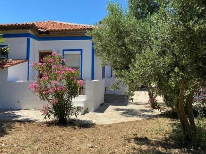 Vita Longa - Çanakkale Bozcaada Alaybey